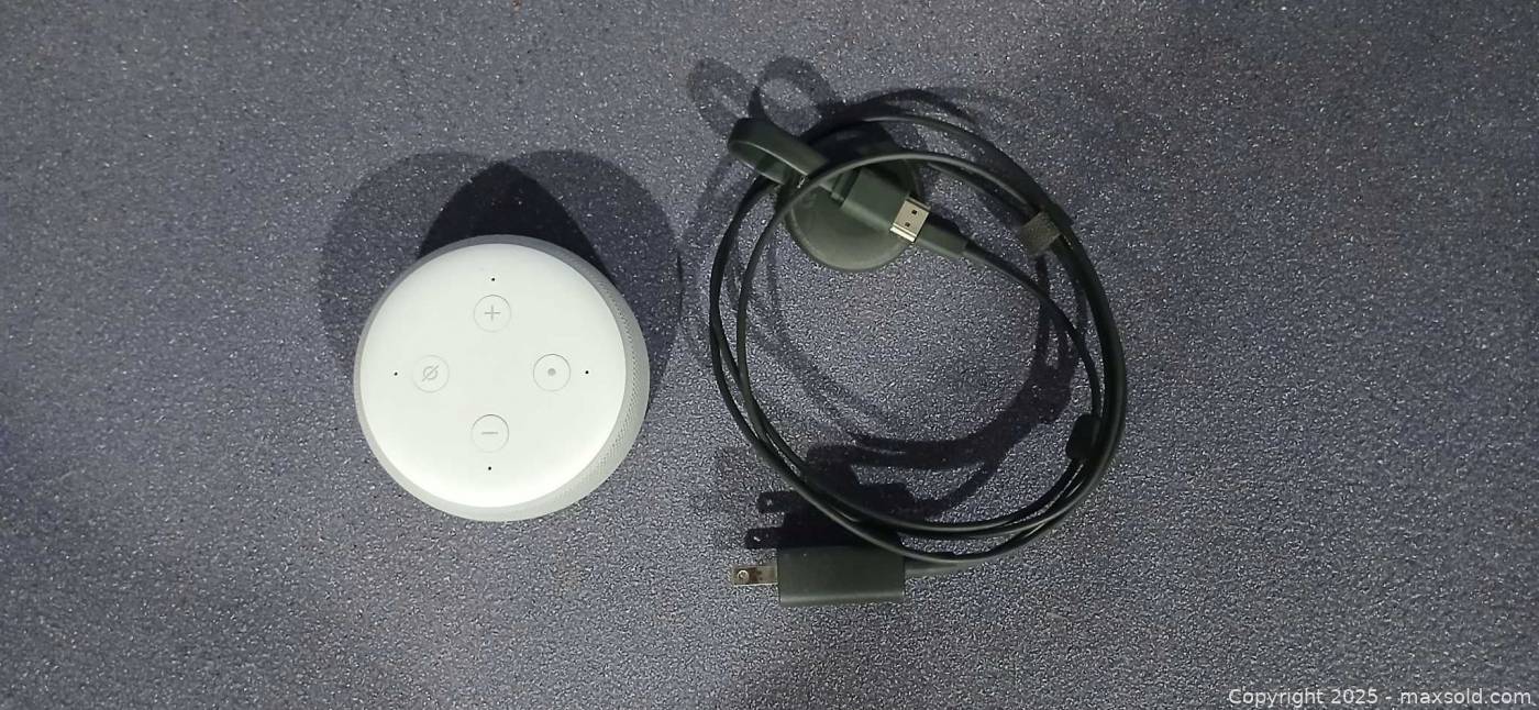 Amazon Echo Dot 3rd Gen & Google Chromecast | Maxsold