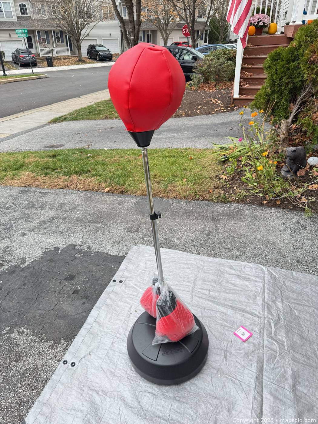 Protocol free-standing reflex punching bag | Maxsold