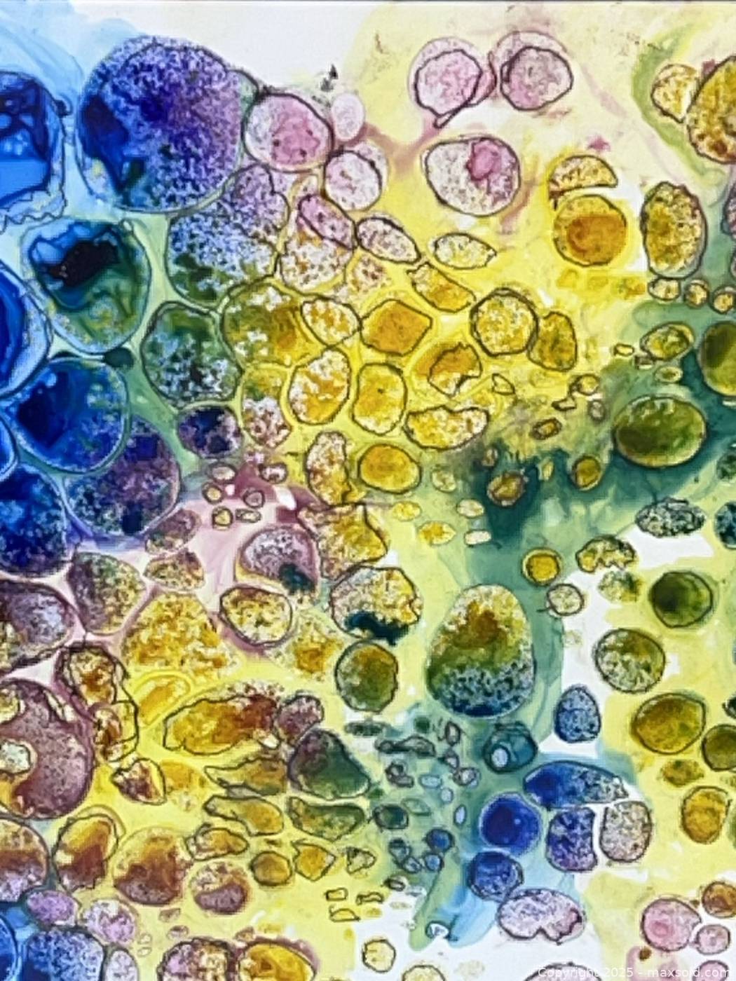 Original abstract artwork in clear frame | Maxsold