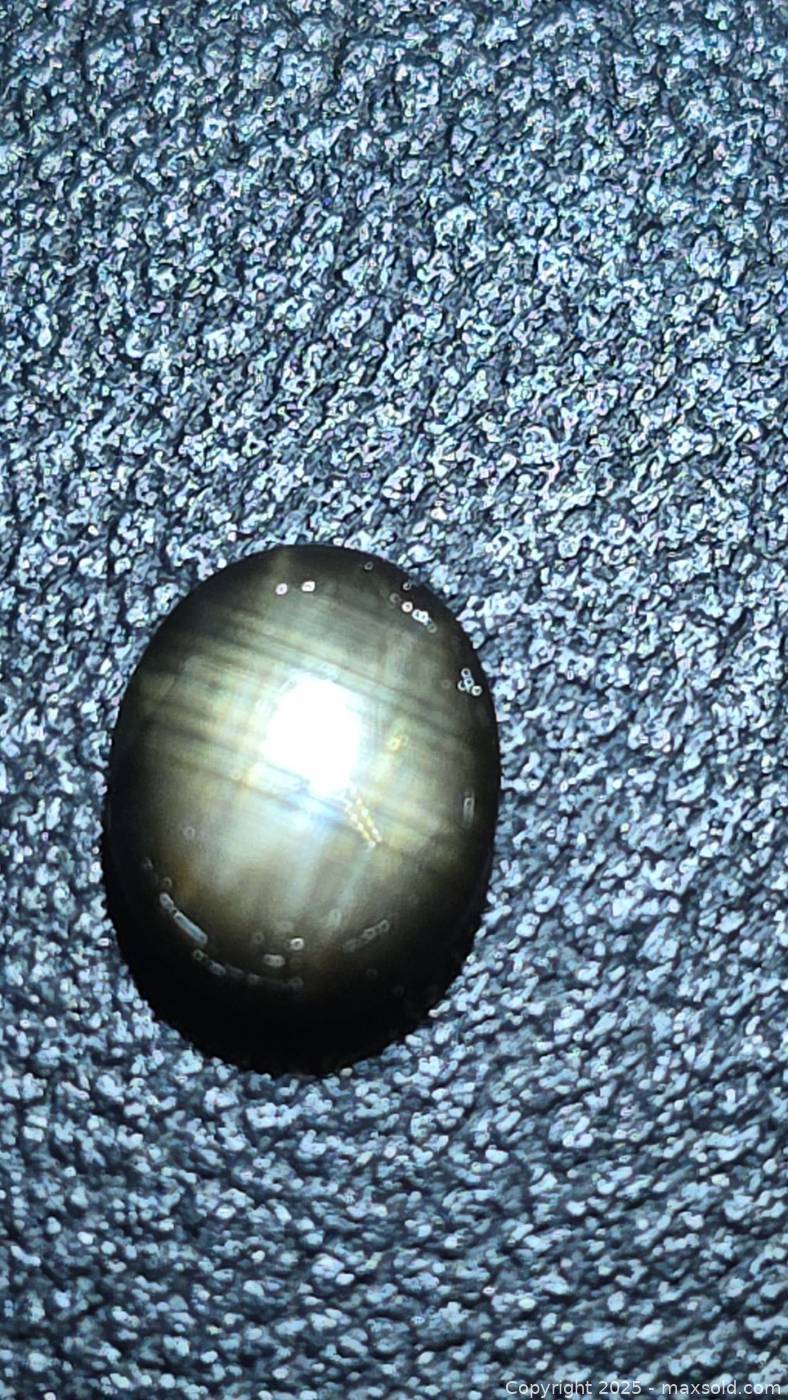 3.16ct Natural Black Star Sapphire | Maxsold