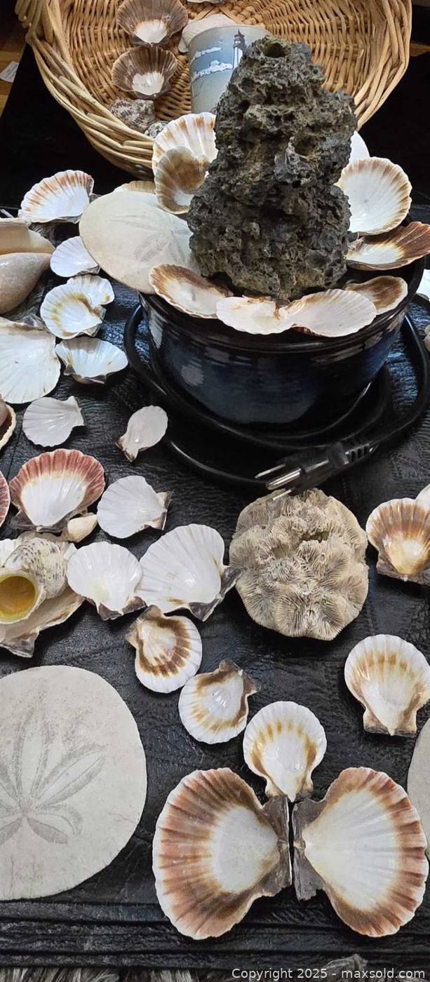 Assorted seashells, sand dollars, aquarium rock fountain with pump, ceramic mug, wicker basket ...