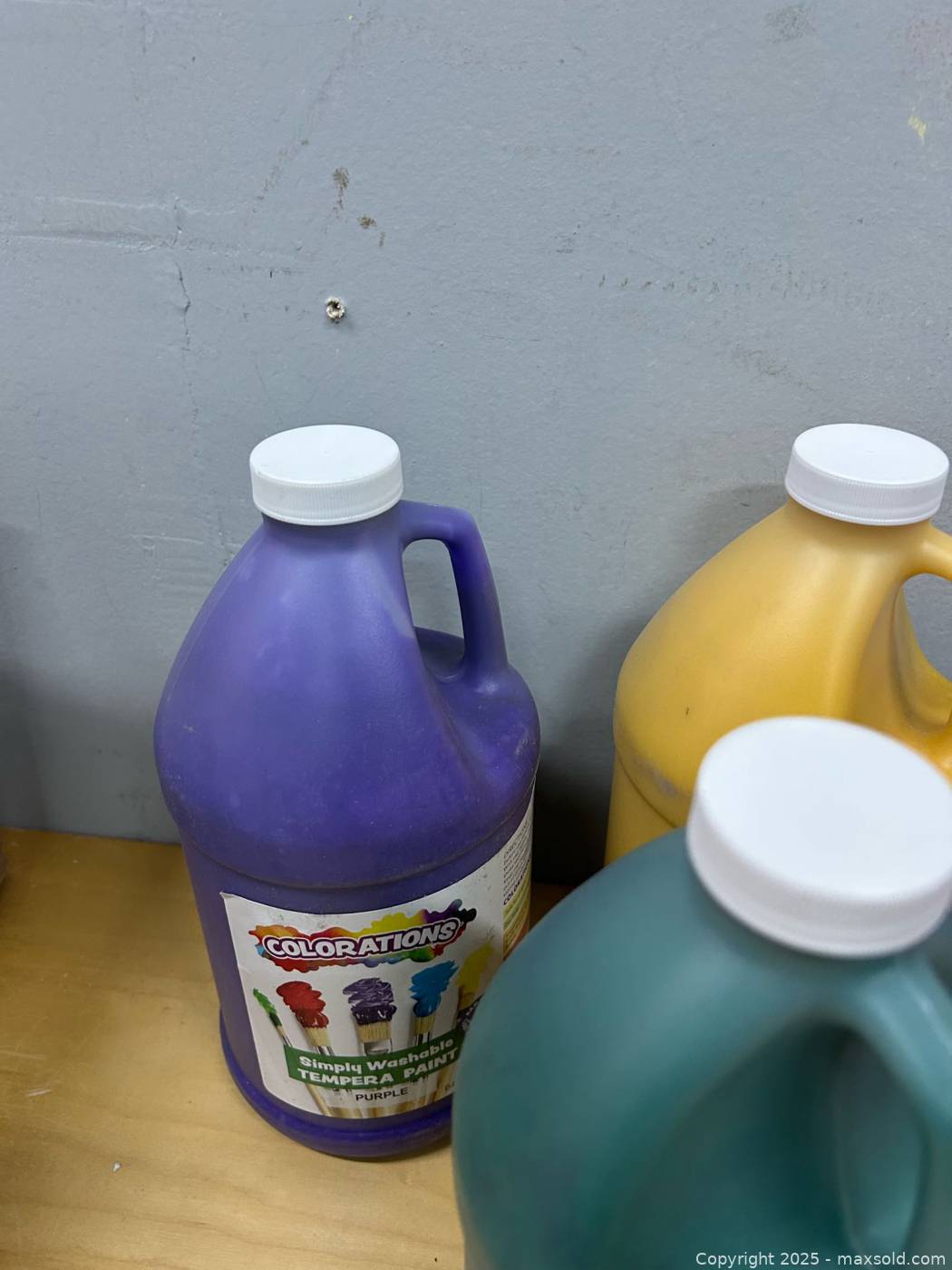 Five 1.89 L Colorations tempera paints | Maxsold