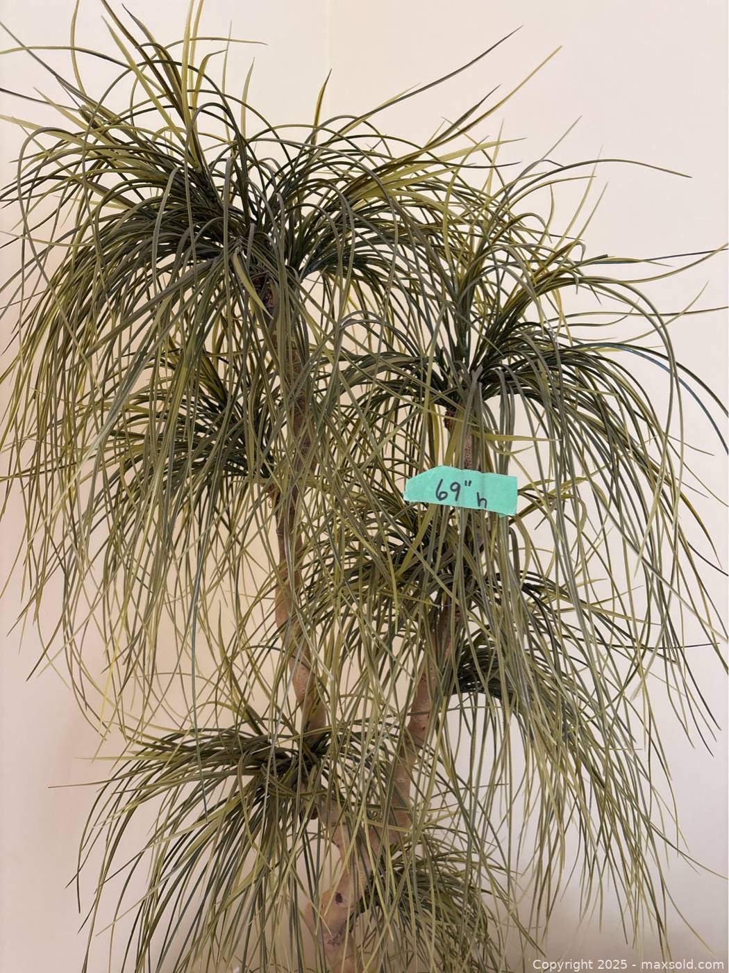 Artificial 69" tall plant in ceramic pot and live plant in clay pot ...