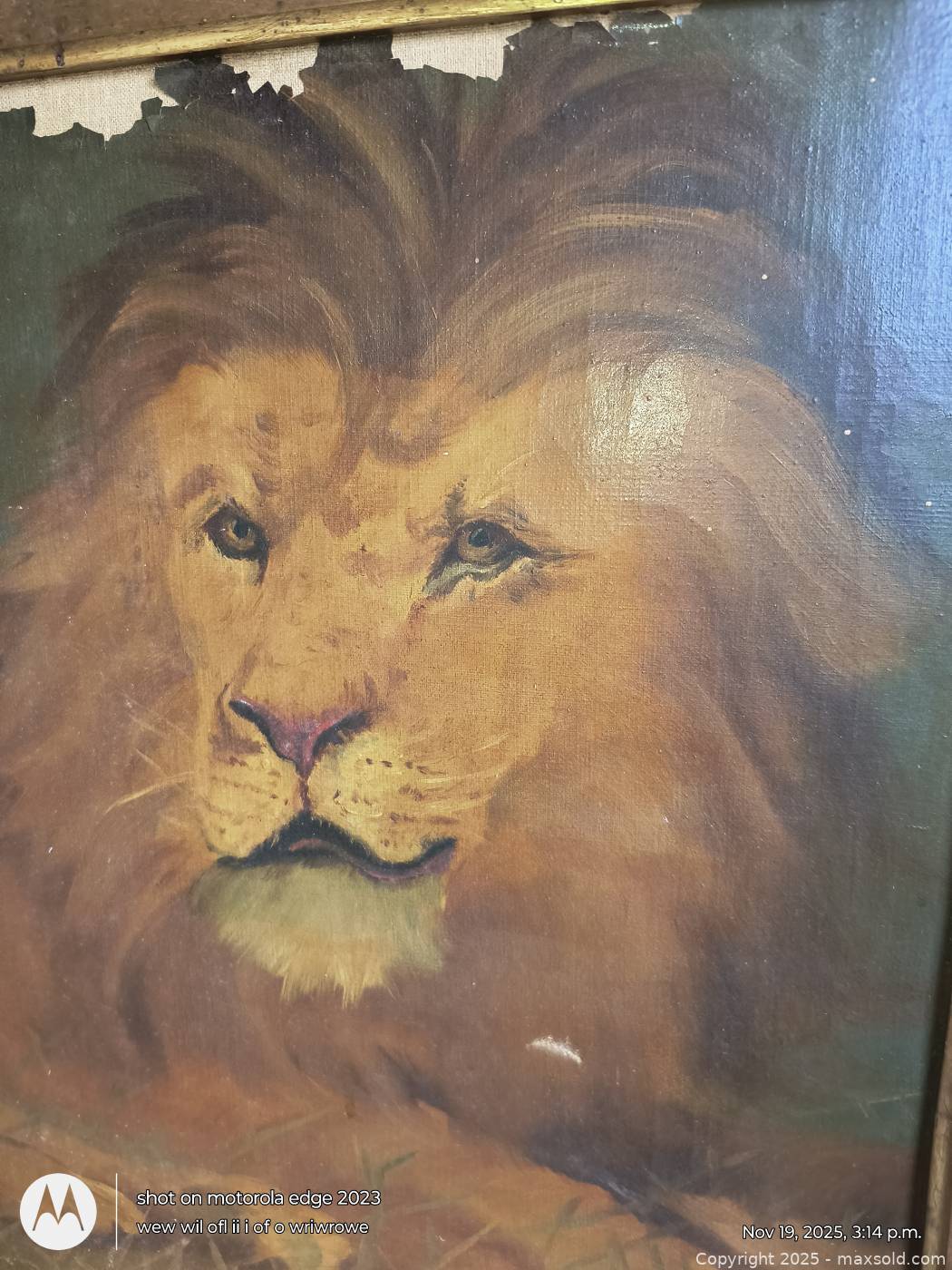 Late 1700s-Early 1800s oil painting of reclining lion | Maxsold