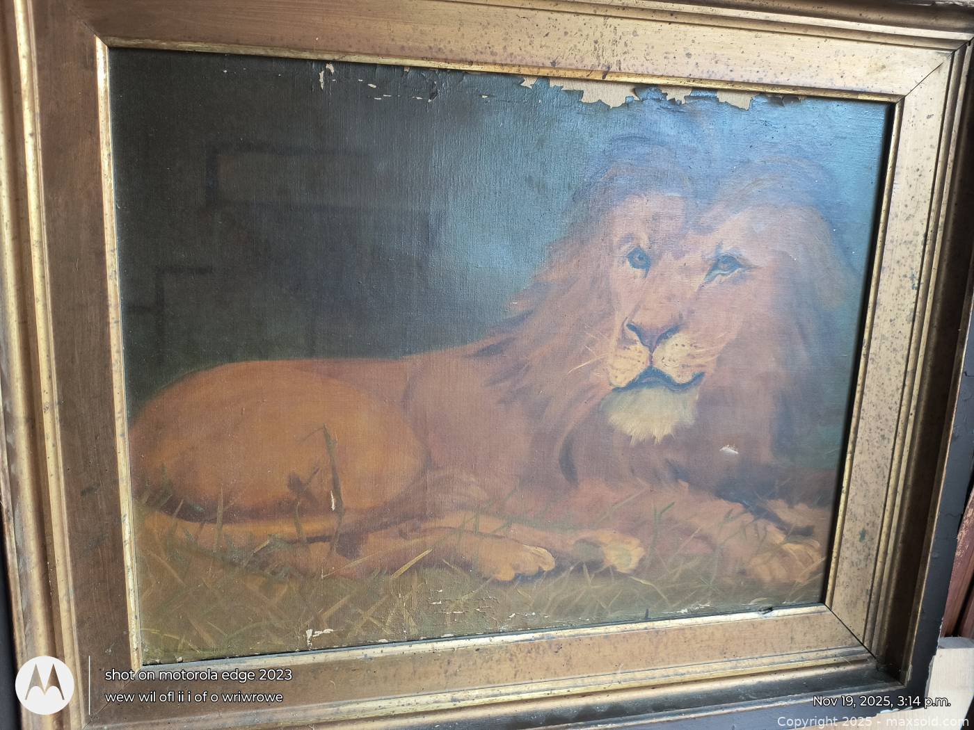 Late 1700s-Early 1800s oil painting of reclining lion | Maxsold
