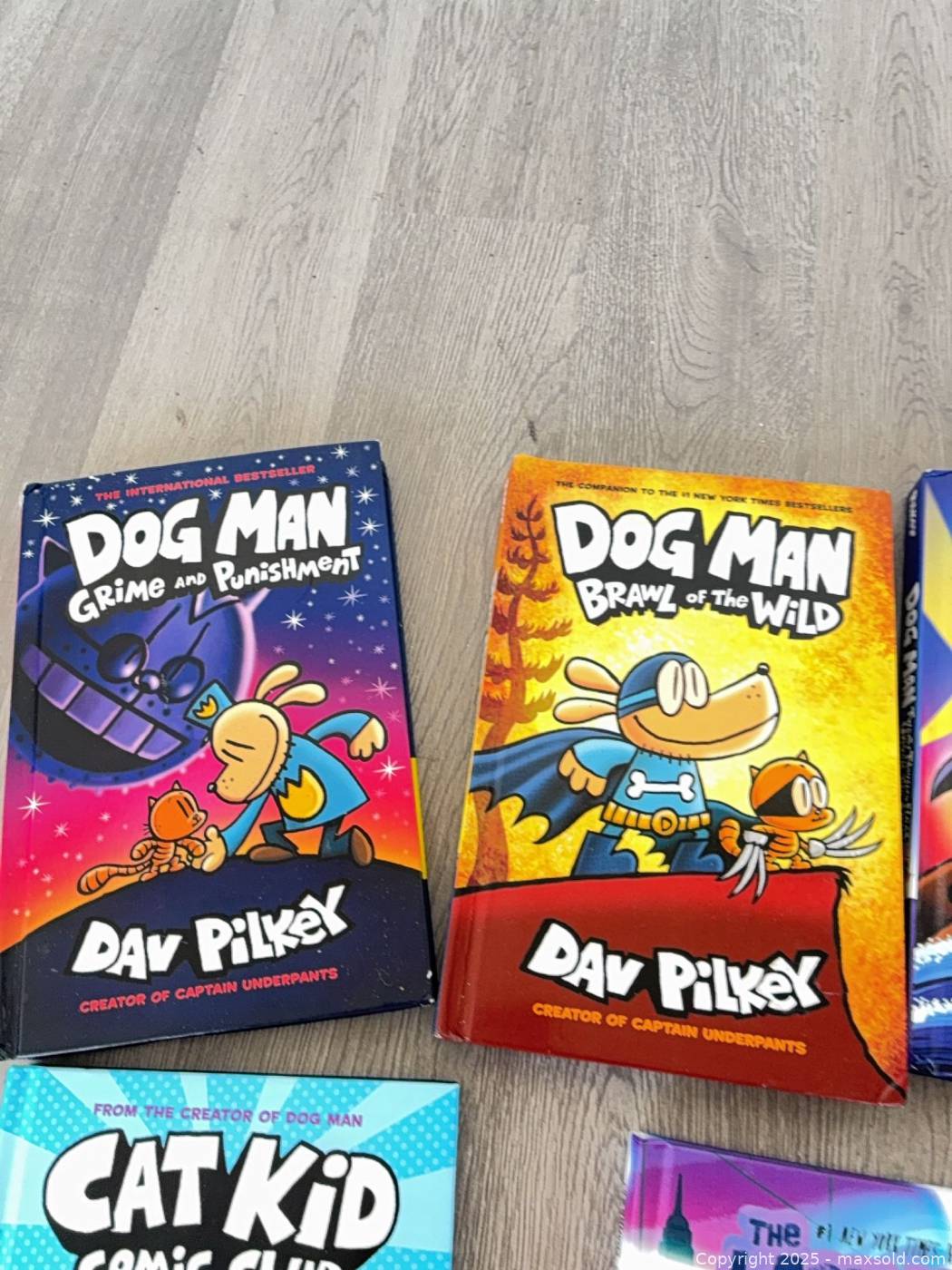 9 hardcover children’s books – Dog Man, Cat Kid, Wimpy Kid | Maxsold