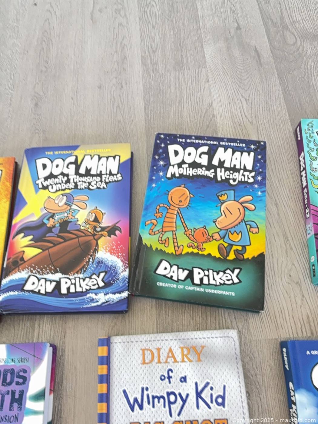 9 hardcover children’s books – Dog Man, Cat Kid, Wimpy Kid | Maxsold