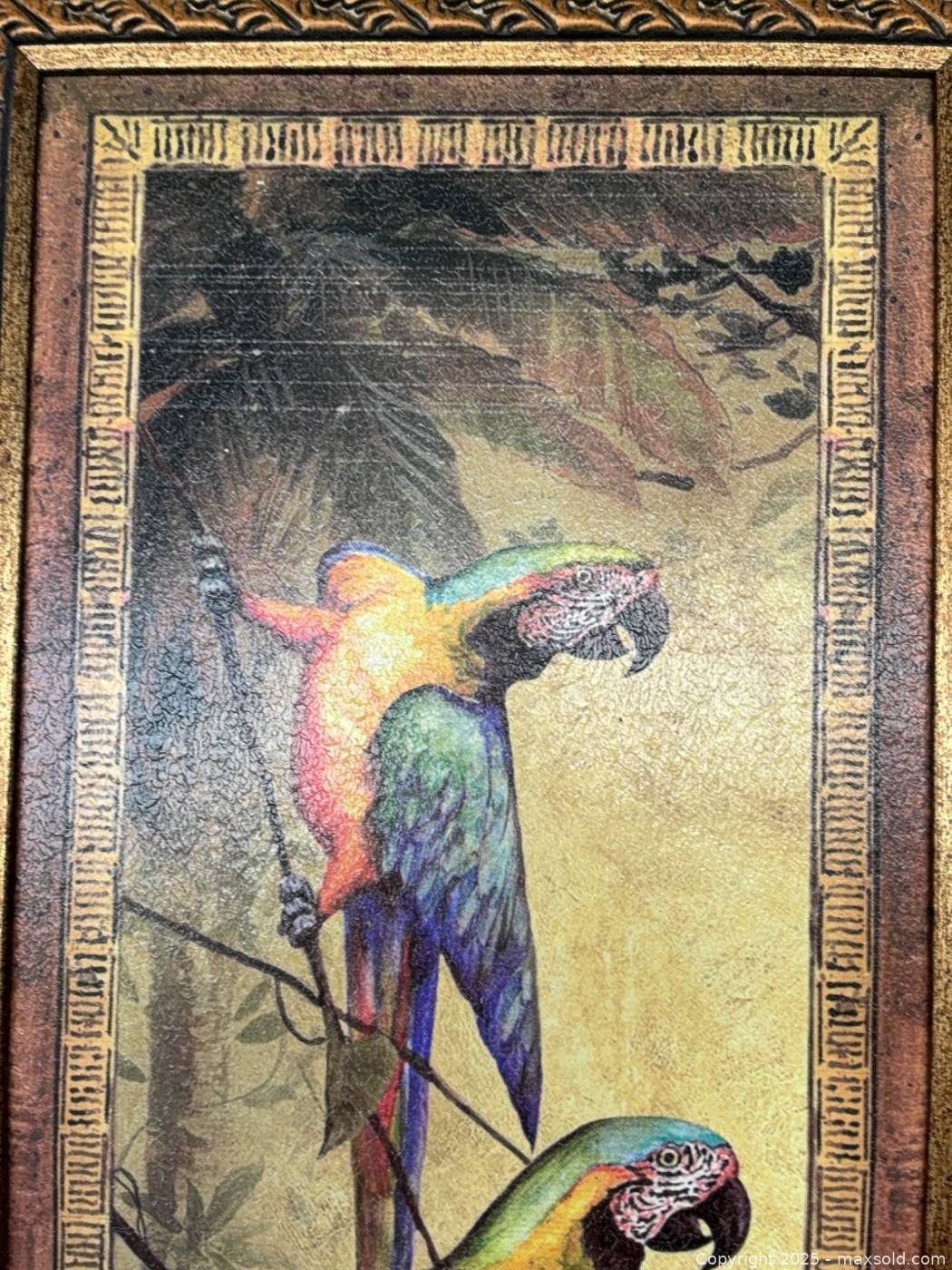 Steve Butler Macaw Art Print | Maxsold