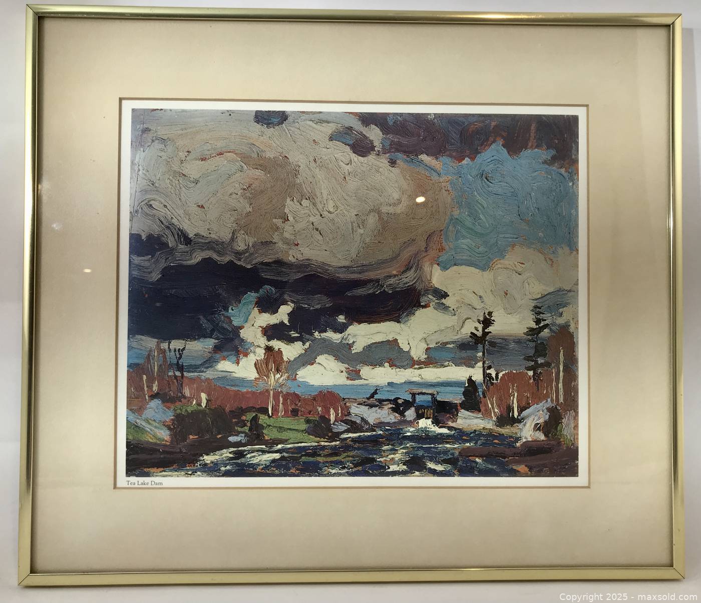 Tom Thomson Tea Lake Dam Framed Print | Maxsold