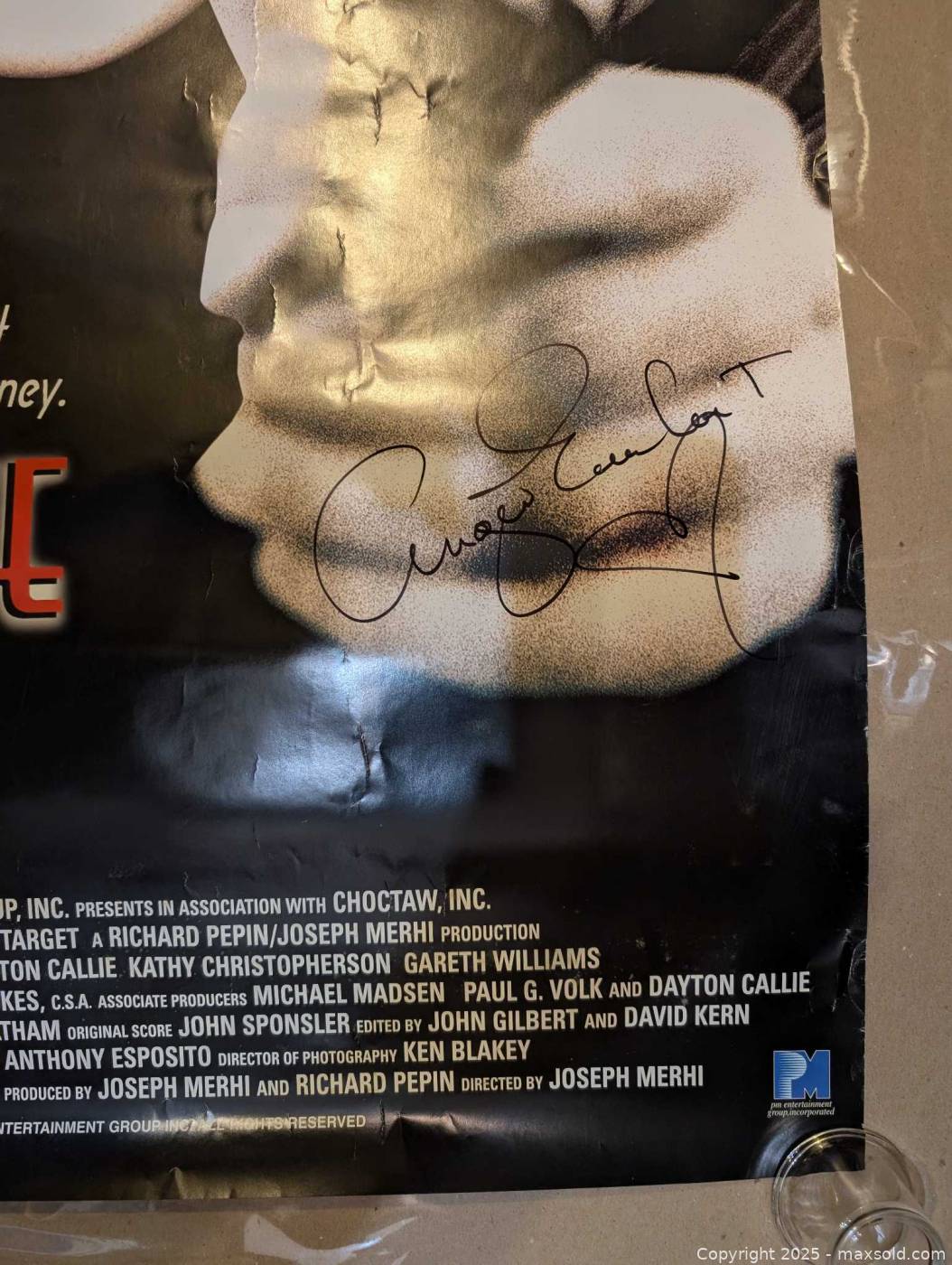 1997 Executive Target signed movie poster | Maxsold