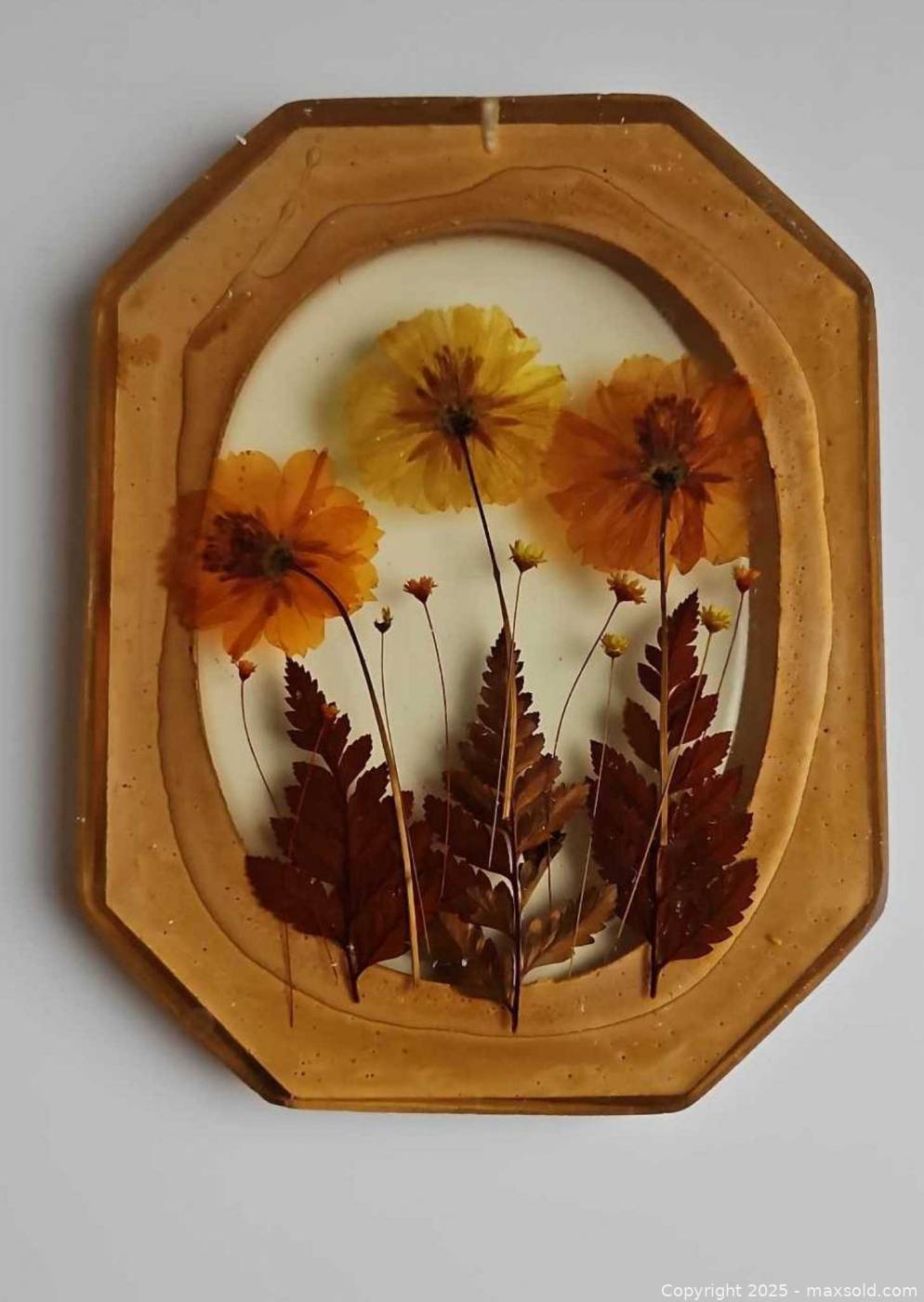 Vintage Lucite Trivet / Trinket Dish with Pressed Flowers | Maxsold