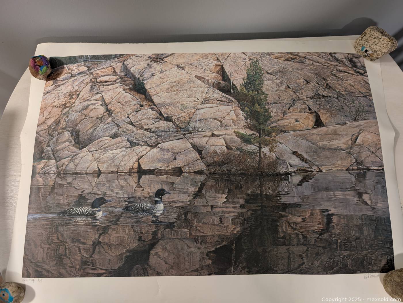 Signed Canadian Wildlife Limited Edition Prints, 3 pcs | Maxsold