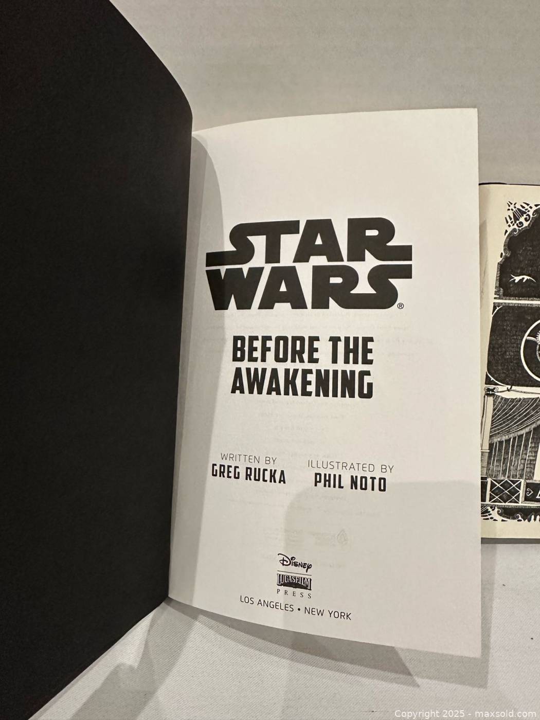 Three modern fiction books | Maxsold