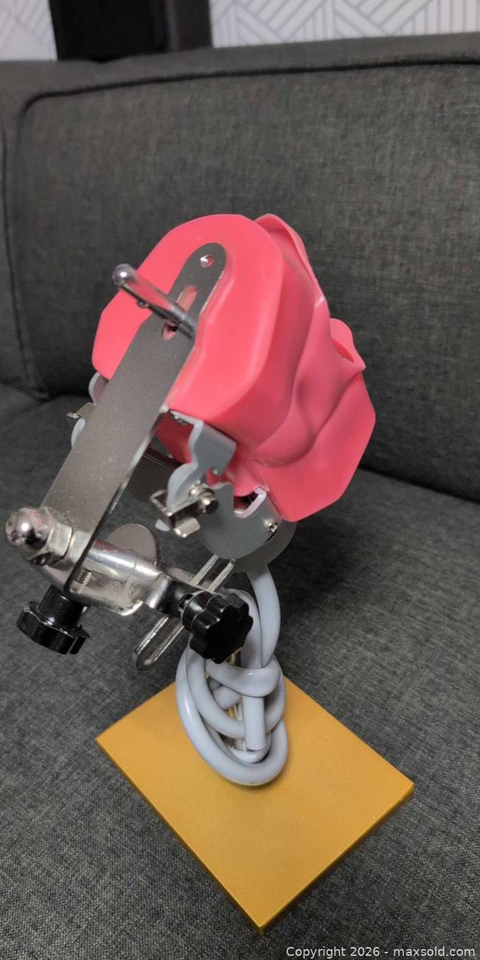 Dentist practice typodont | Maxsold