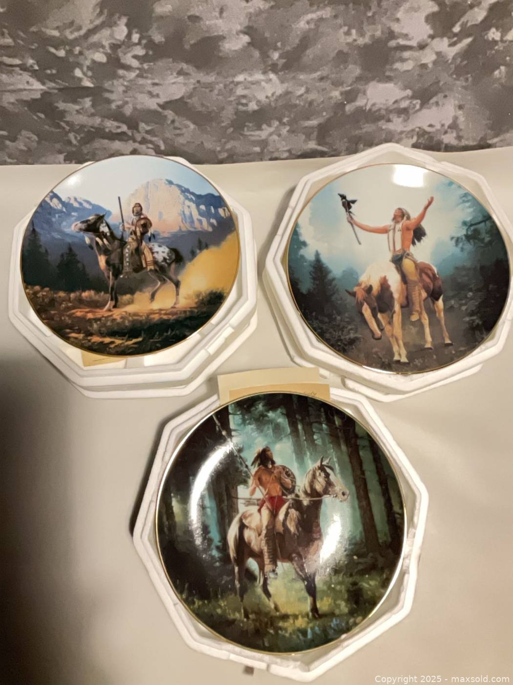 The Hamilton Collection Indigenous American decorative plates set of 3 ...