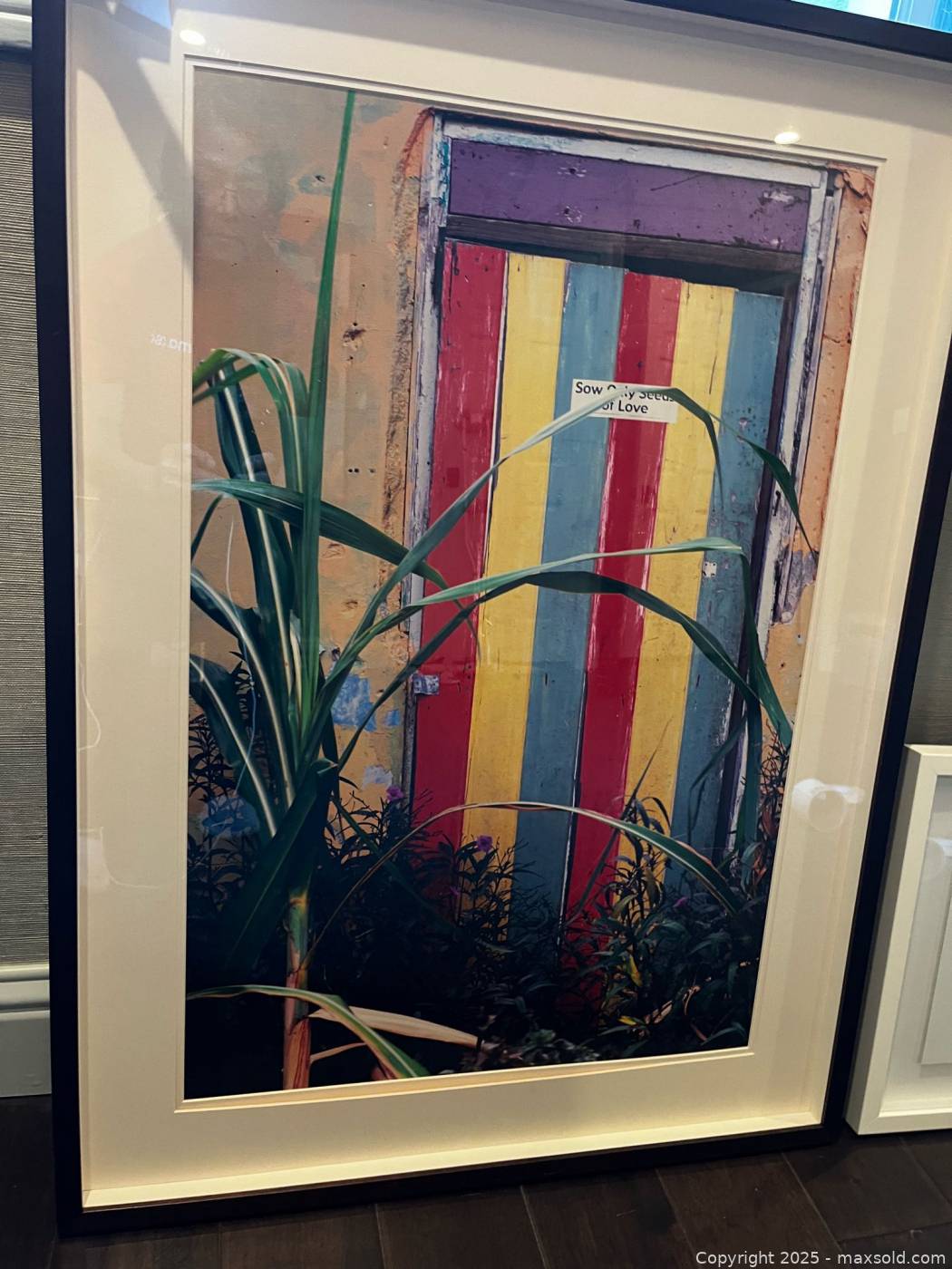 Framed photographic print and illustrated LEO print | Maxsold