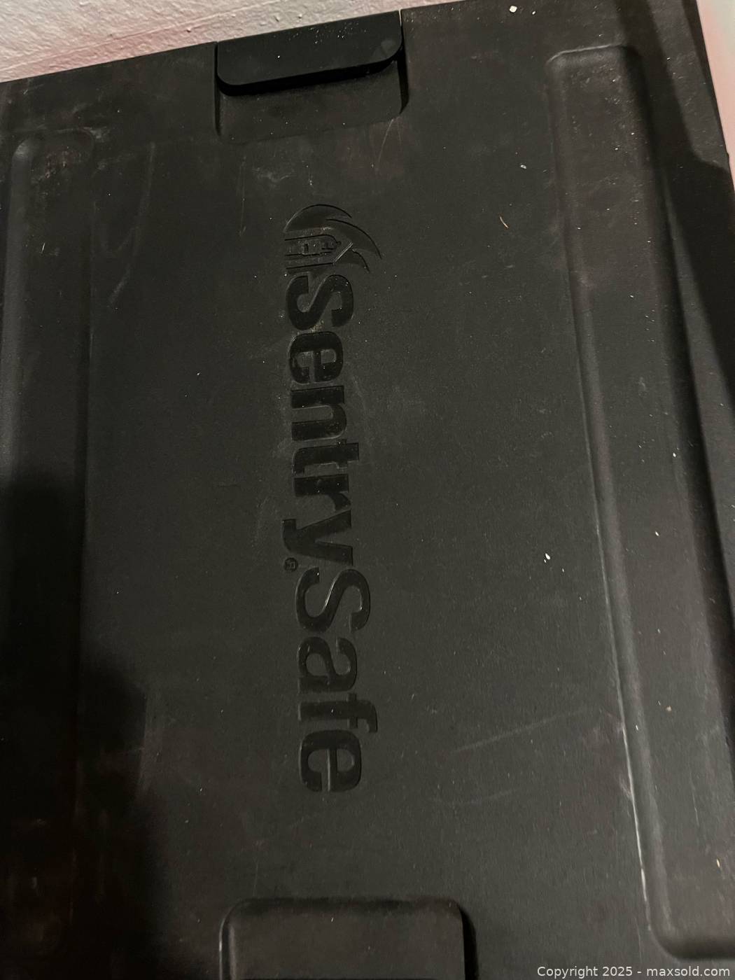 SentrySafe totes, 4-drawer cabinet, bin & propane tank | Maxsold