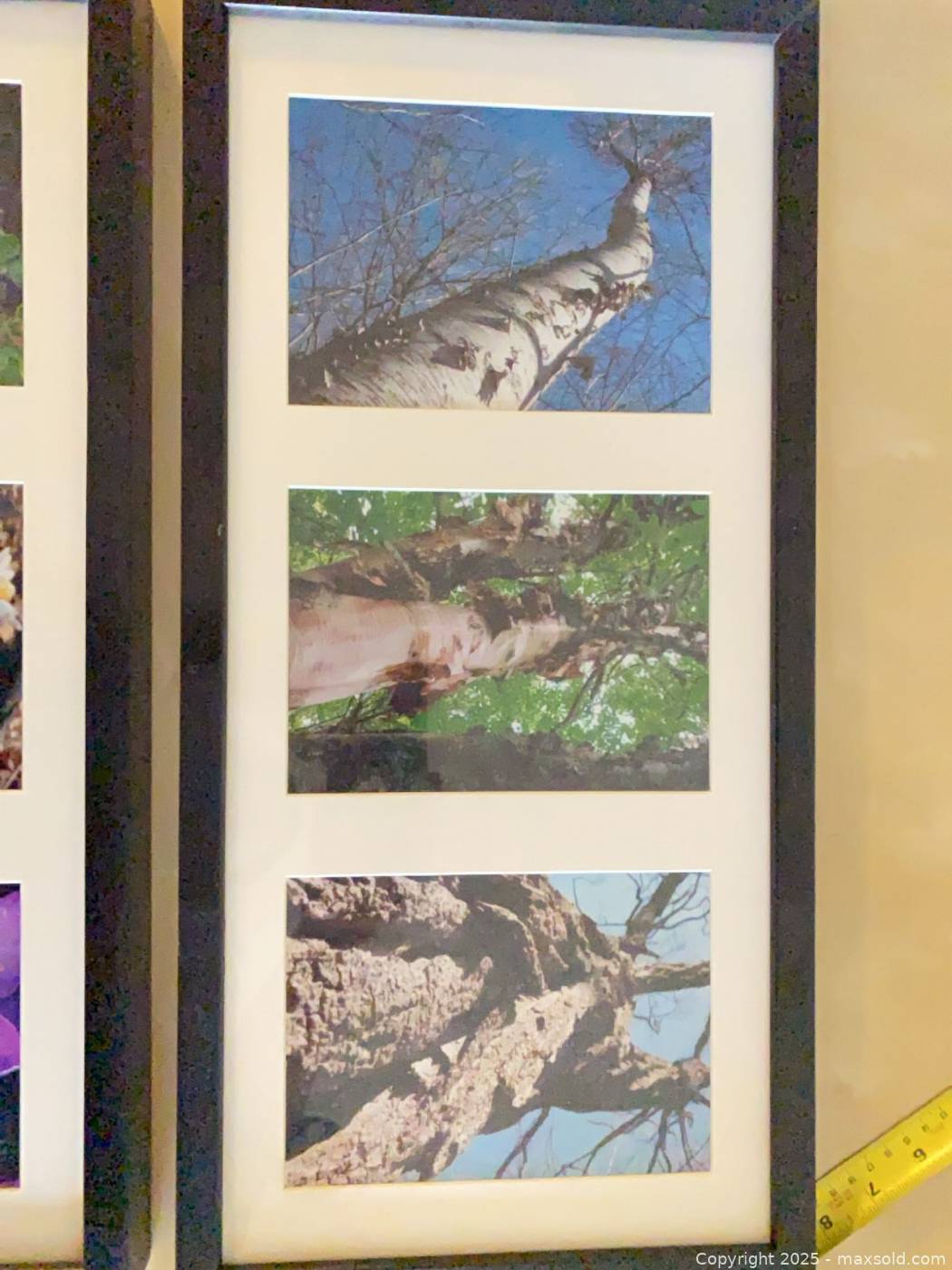Pair vertical nature photo collage wall art | Maxsold