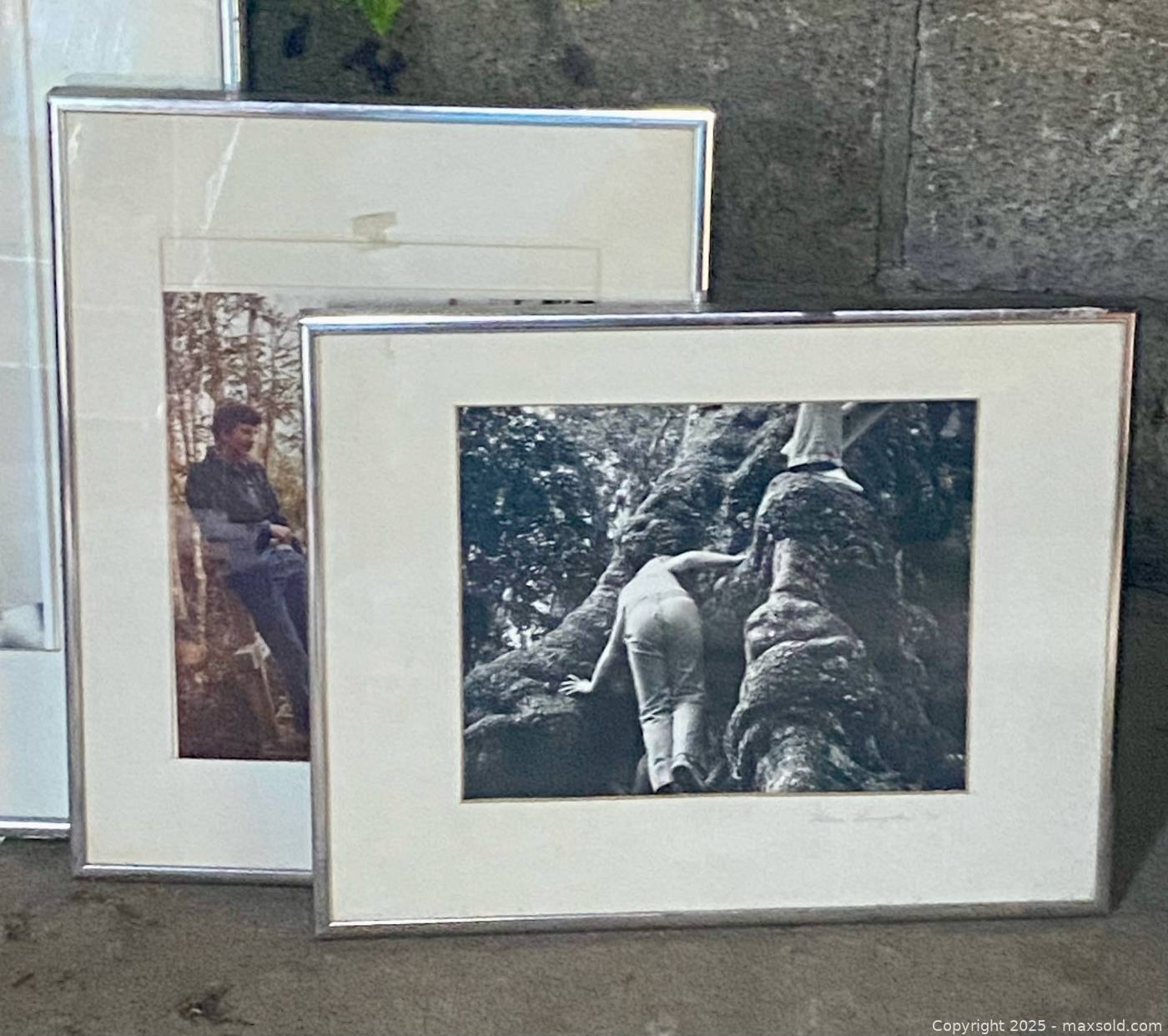 Livingston framed photography set | Maxsold