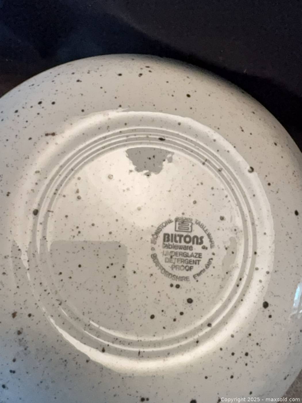 Bilton’s 9" Ironstone Dinner Plates, 4 | Maxsold