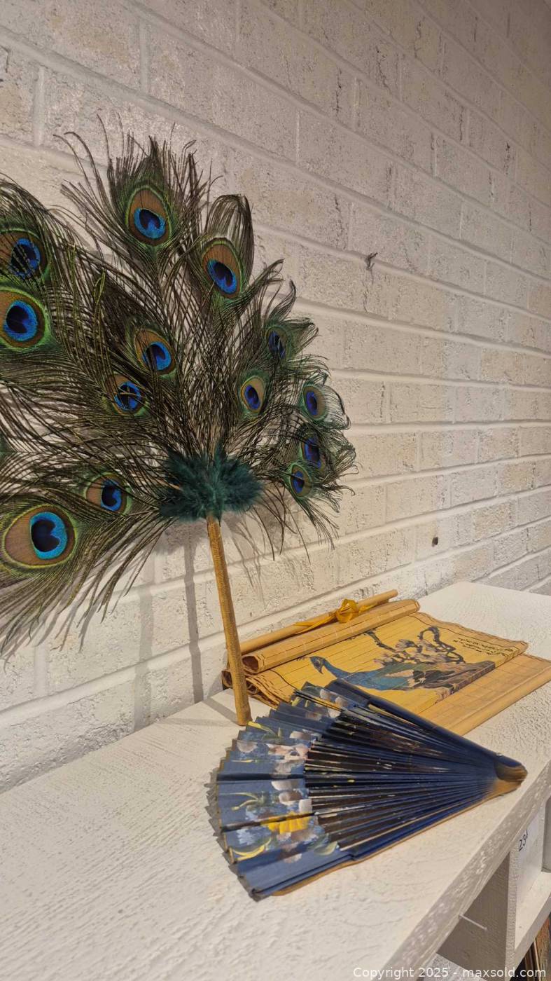 Peacock feather arrangement, folding fan and bamboo wall scroll | Maxsold