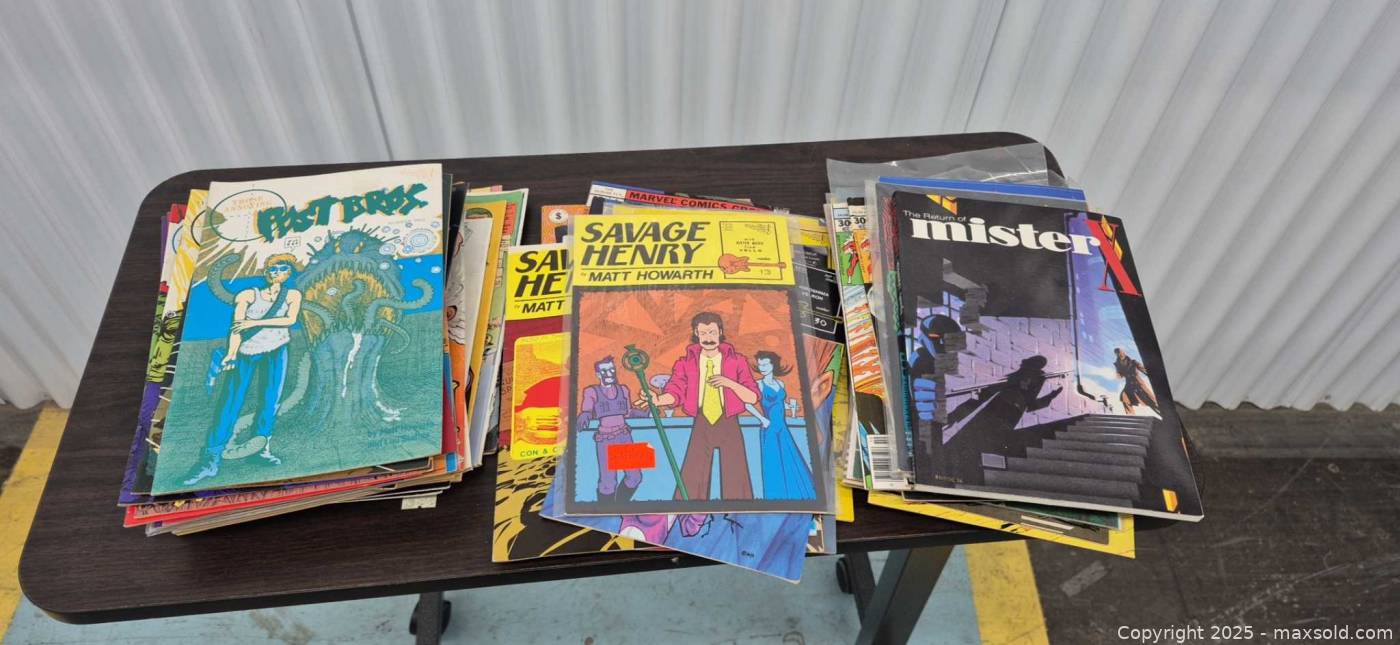 Alternative comic single issues lot | Maxsold