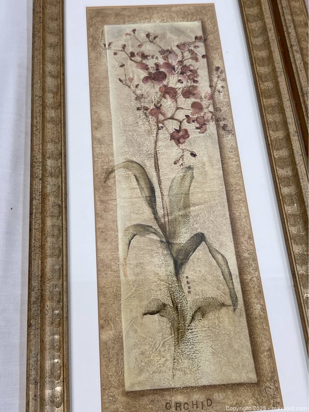 Pamela Gladding framed floral prints set of 3 | Maxsold