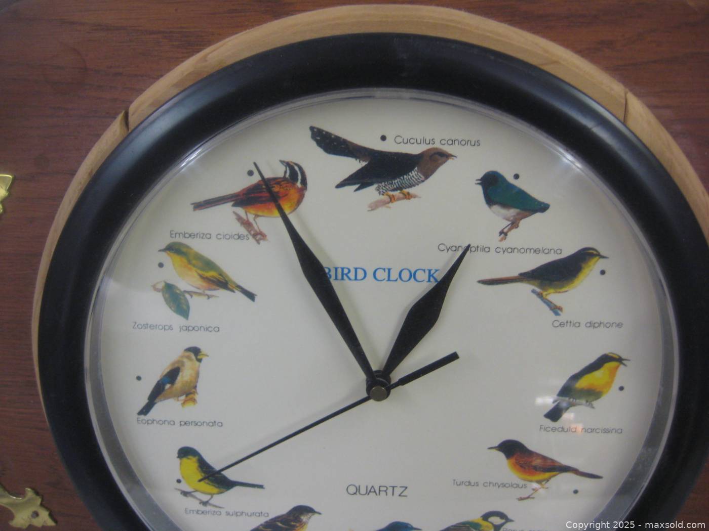 Quartz Bird Sound Wall Clock | Maxsold