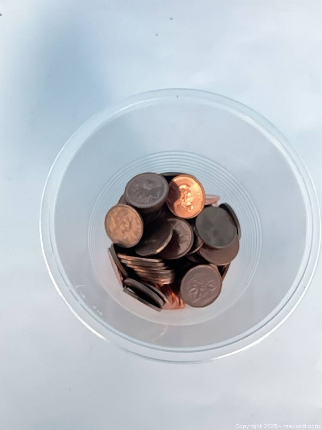Cup of U.S. copper pennies | Maxsold