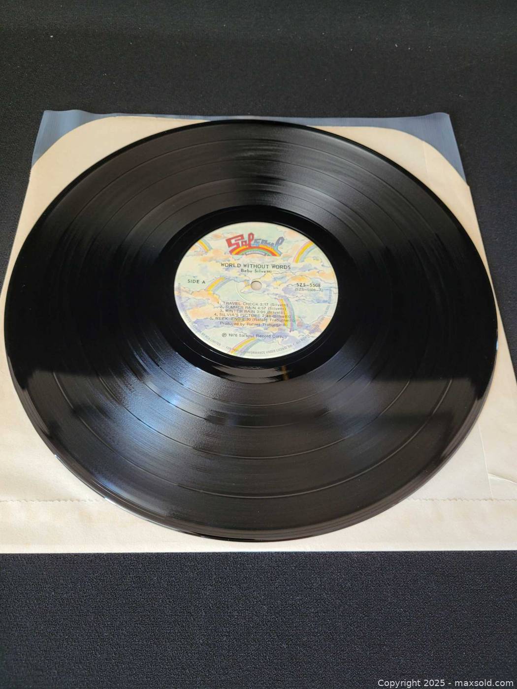 Silvetti “World Without Words” vinyl LP | Maxsold
