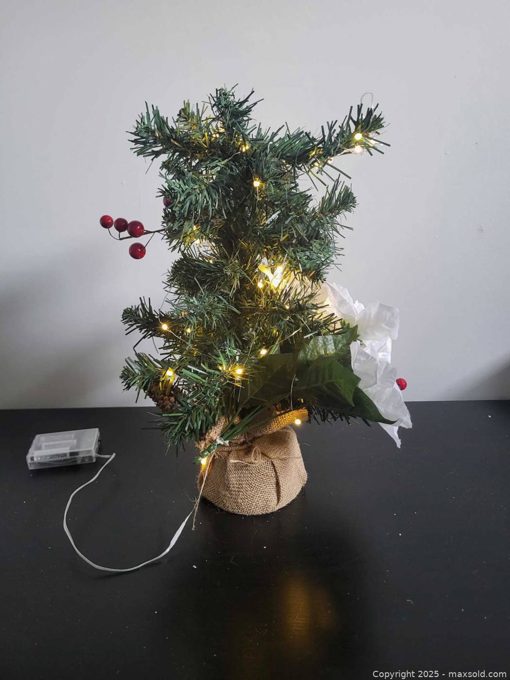 Assorted Christmas Decorations | Maxsold