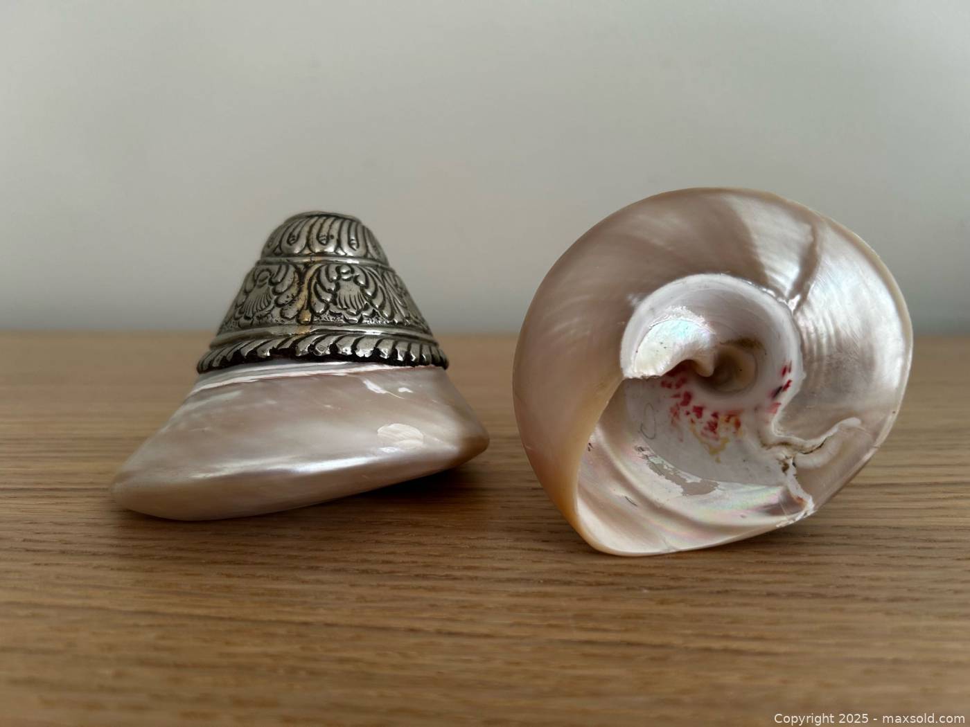 Pair shell curios with ornate metal caps | Maxsold
