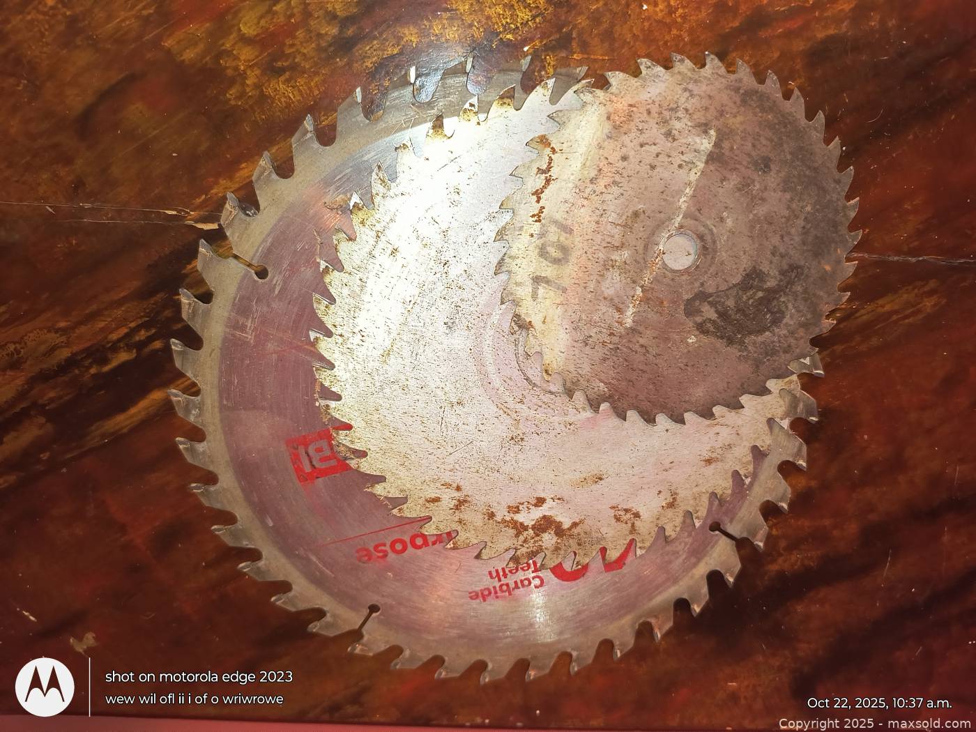 Three circular saw blades assorted sizes | Maxsold