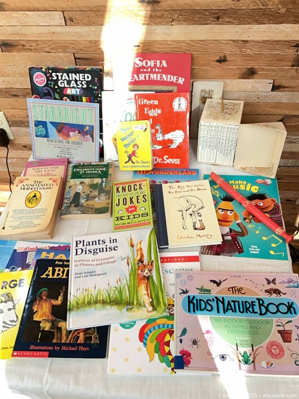 Assorted children’s & young-adult books with recorder | Maxsold