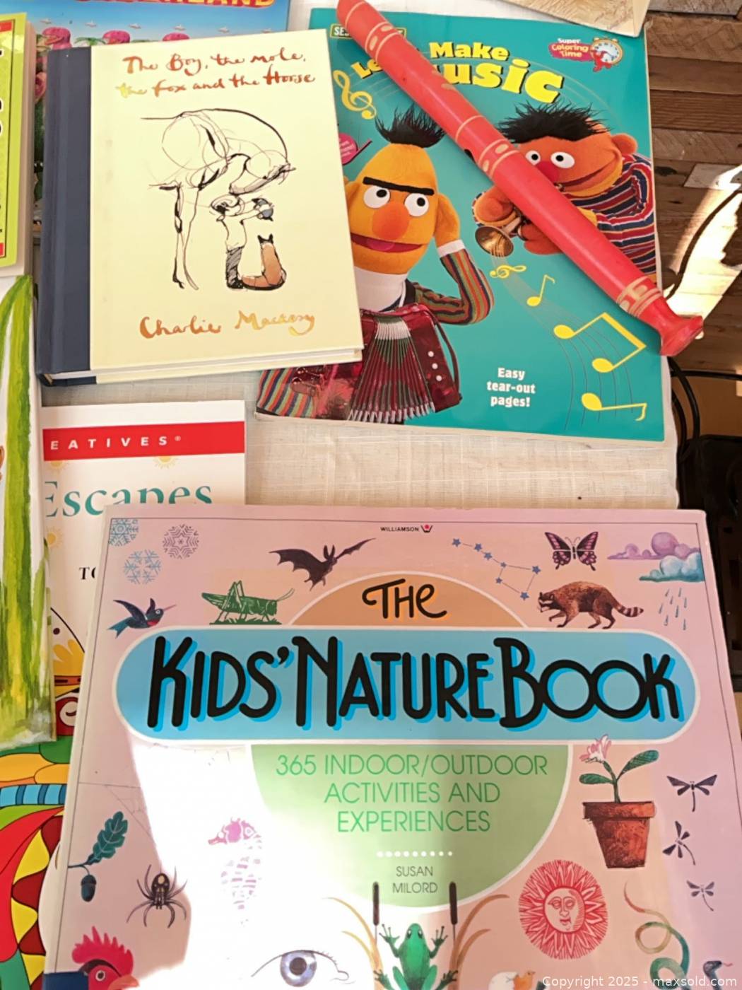 Assorted children’s & young-adult books with recorder | Maxsold