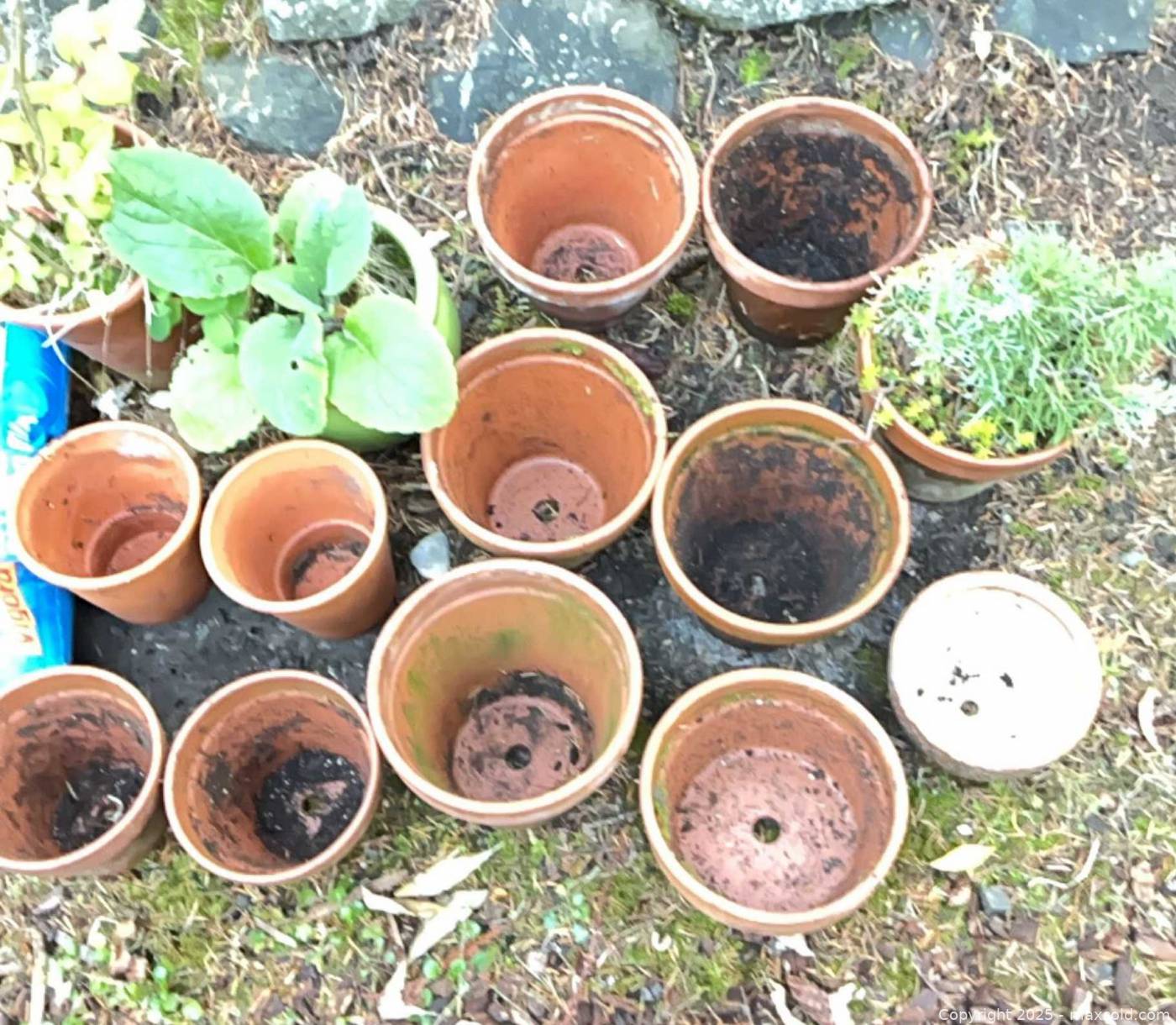14 clay pots with Vigoro potting mix | Maxsold