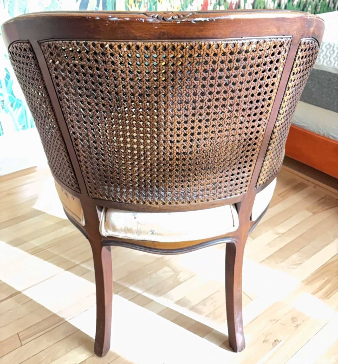 Vintage cane barrel chair with cushion | Maxsold
