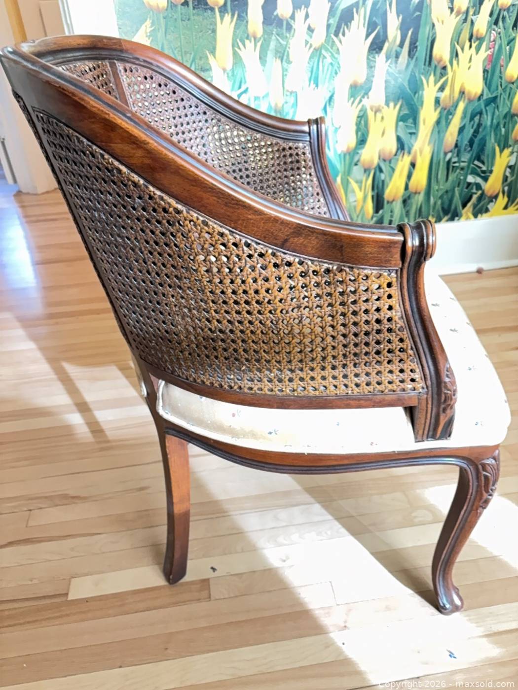 Vintage cane barrel chair with cushion | Maxsold