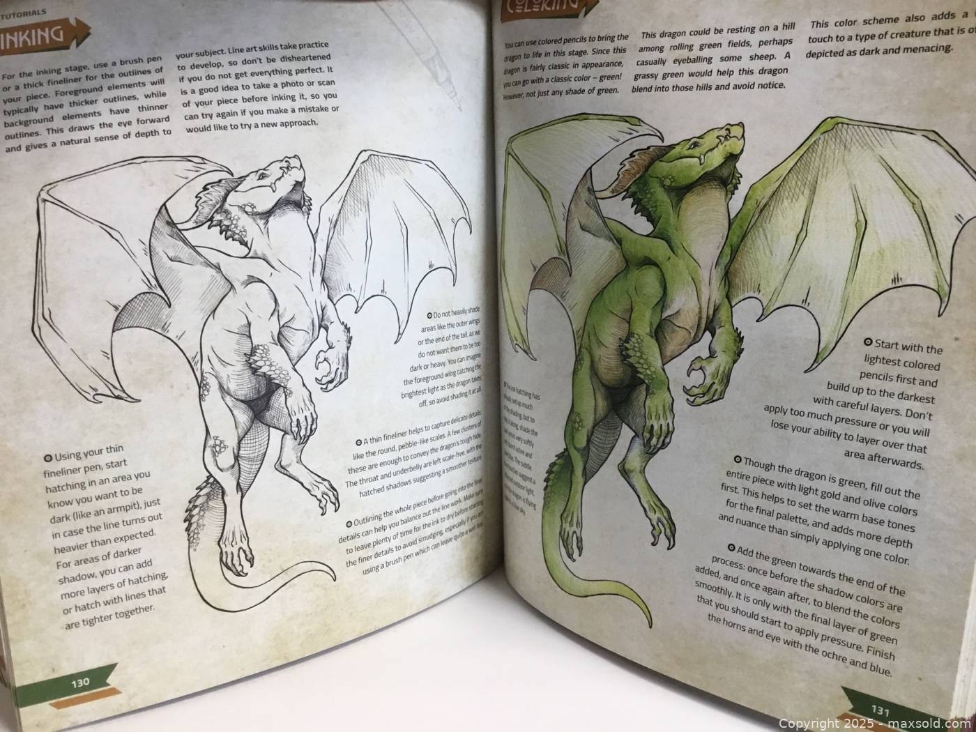Beginner's Guide to Fantasy Drawing book | Maxsold