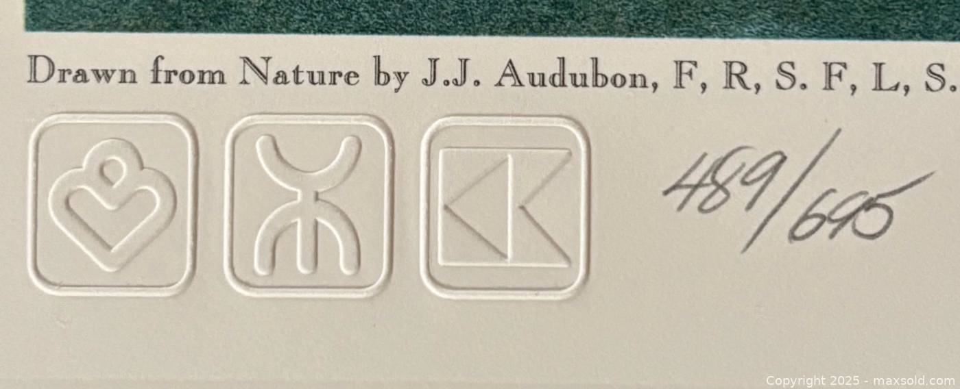 Audubon Flamingo limited edition print, signed 495/695 | Maxsold