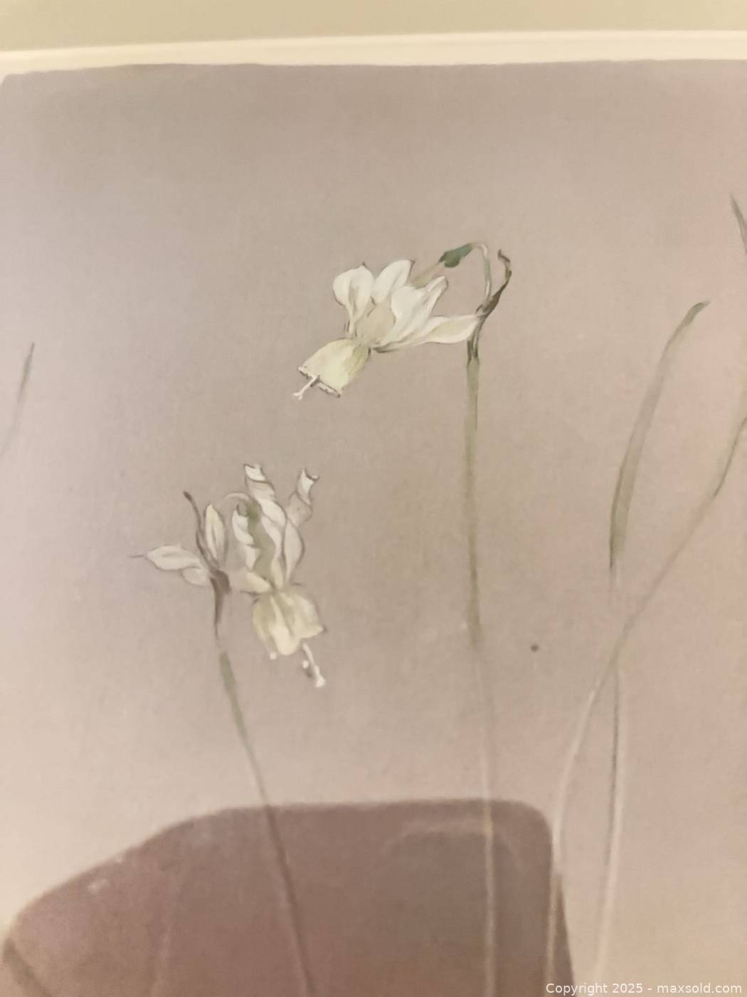 Framed botanical art Delicate Daffodil | Maxsold