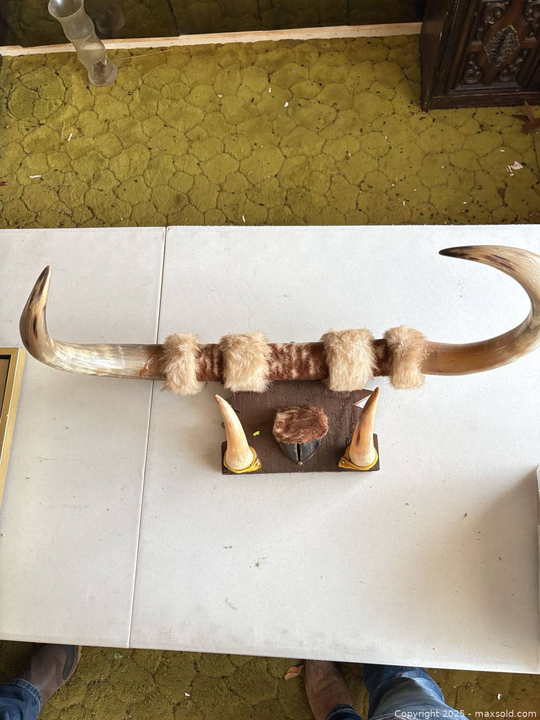 Decorative longhorn wall horn mount | Maxsold