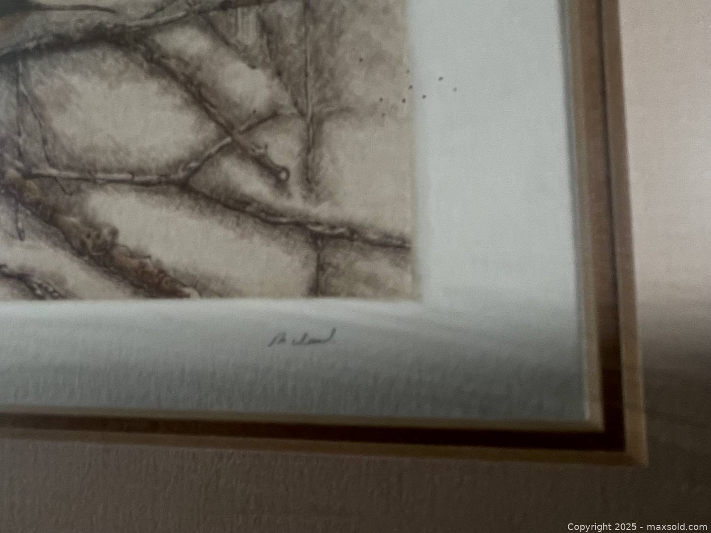 Limited edition framed bird etching | Maxsold