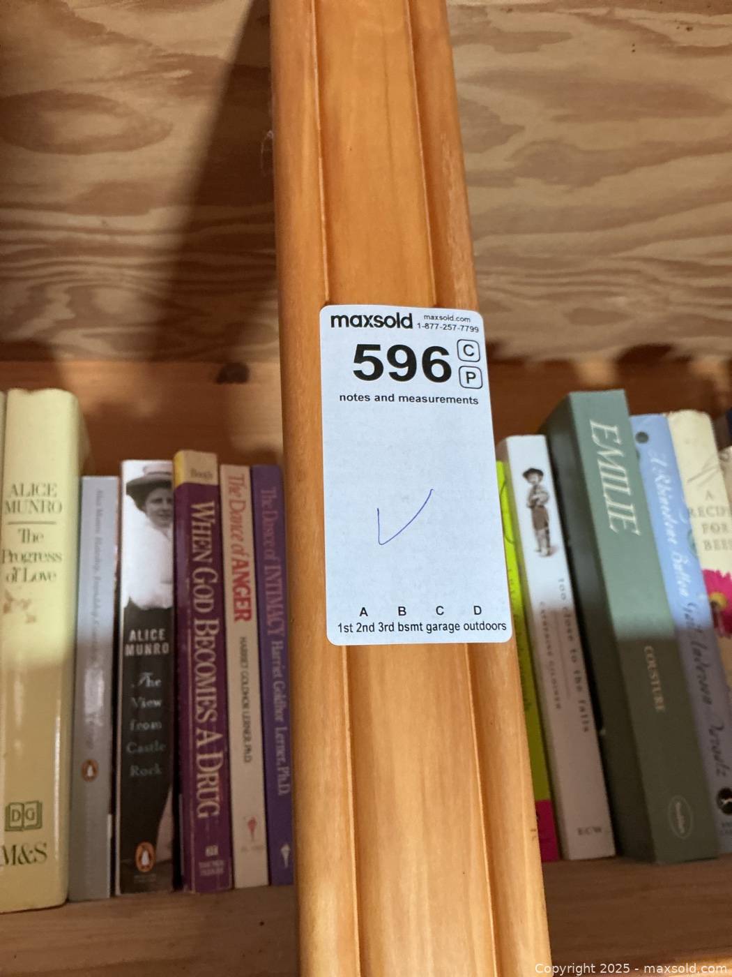 Assorted Fiction And Nonfiction Books Maxsold