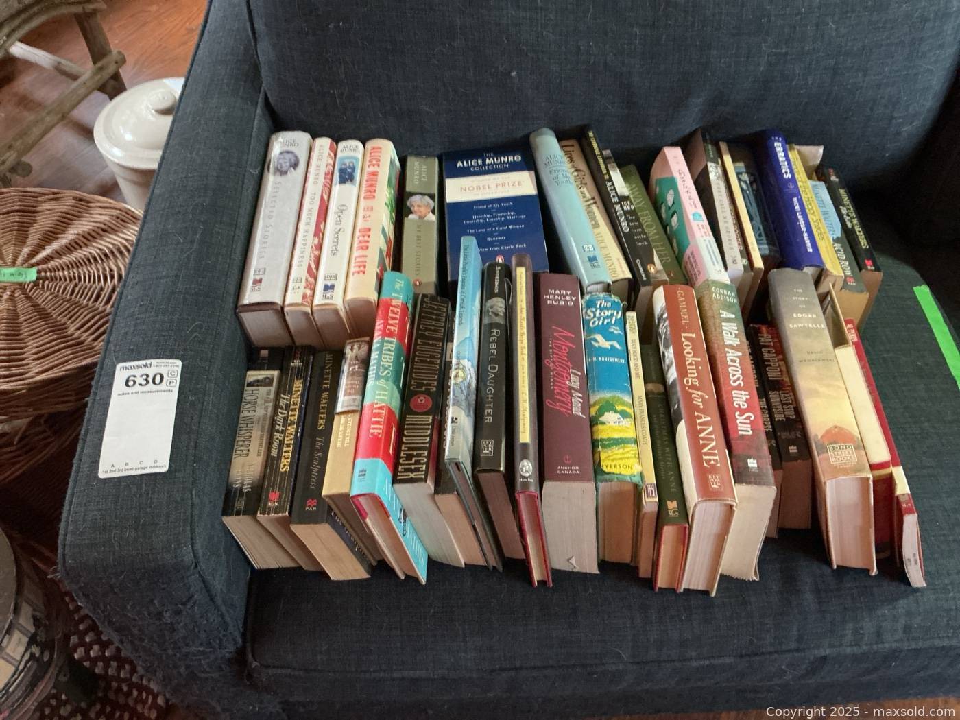 Mix of fiction and non-fiction books | Maxsold