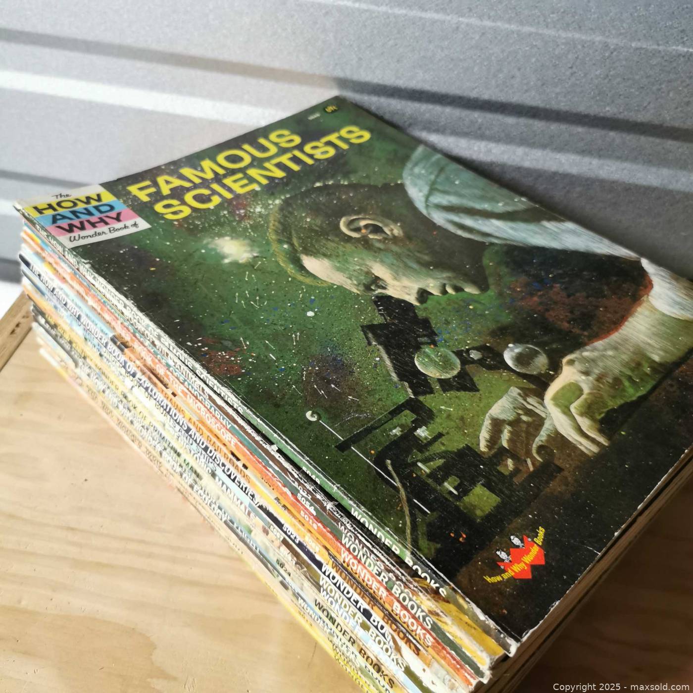Vintage How and Why Wonder Books approx. 20 | Maxsold