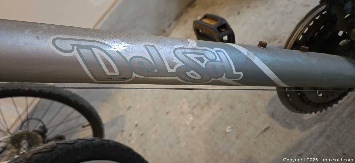 Del Sol 18-Speed Step-Through Bicycle | Maxsold