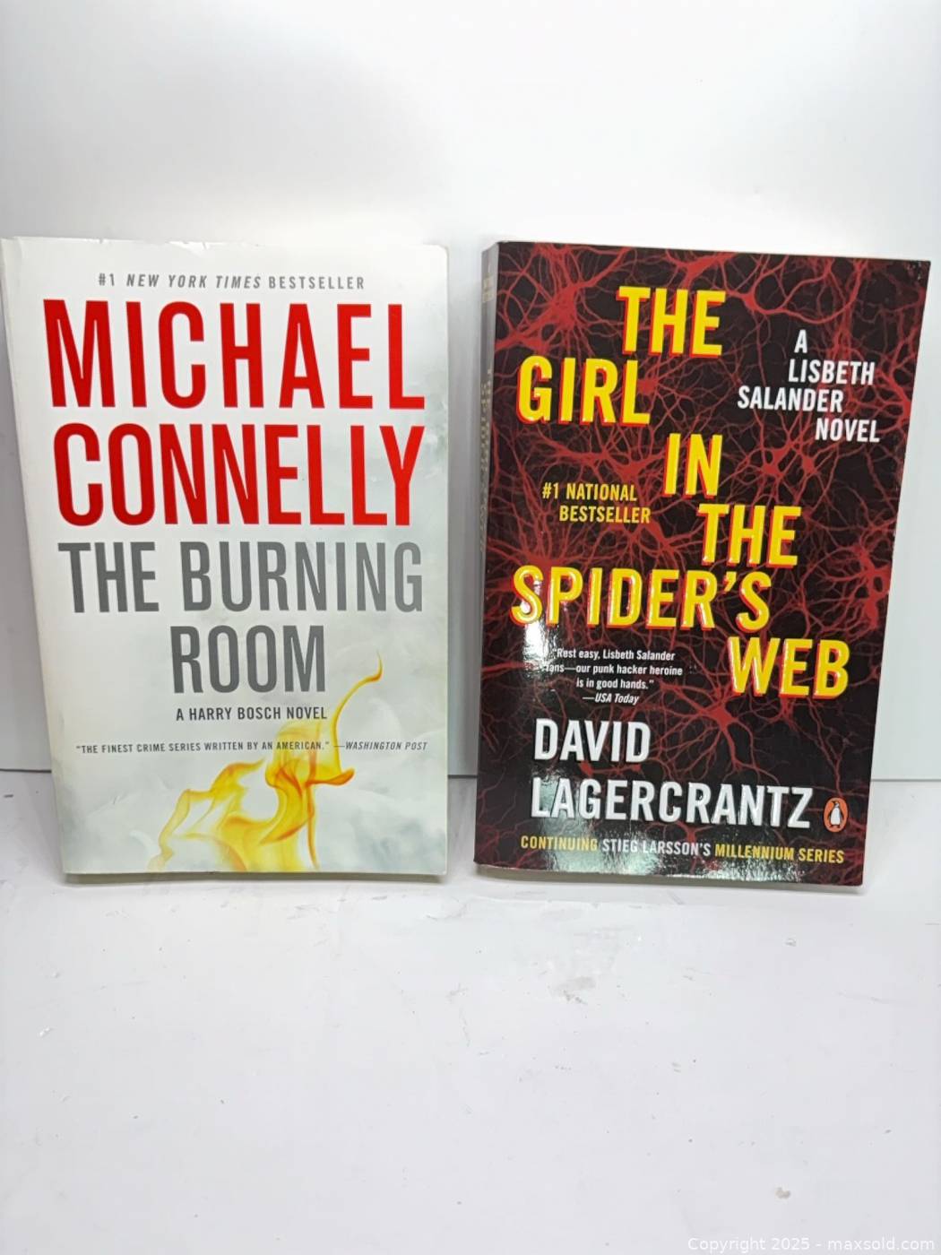 Thriller novel duo – The Burning Room & The Girl in the Spider’s Web ...