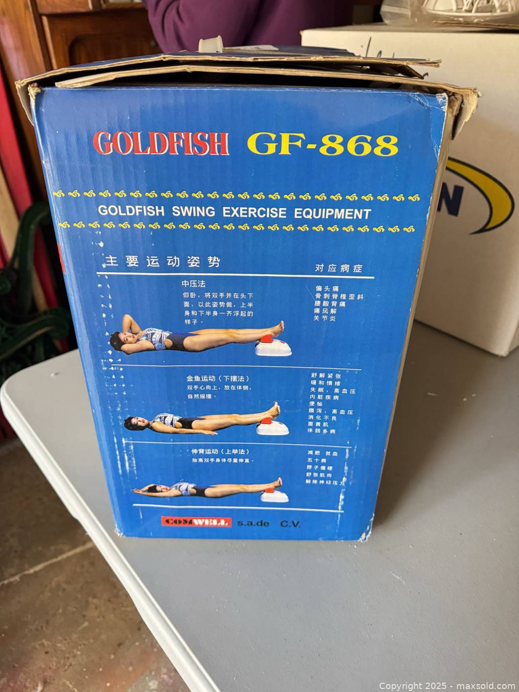 Goldfish GF-868 Chi Swing Exercise Machine | Maxsold