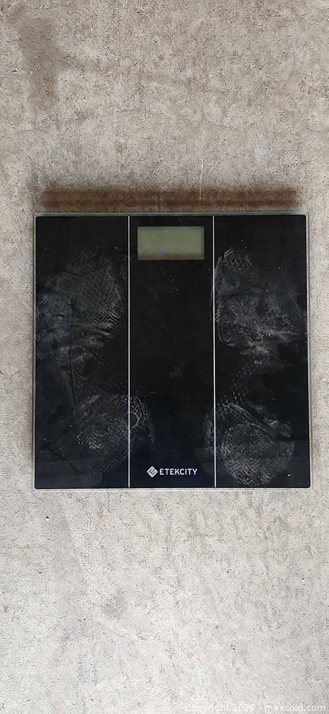 Etekcity digital bathroom scale | Maxsold